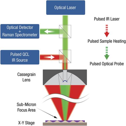 Concurrent surface enhanced infrared and Raman spectroscopy with single ...