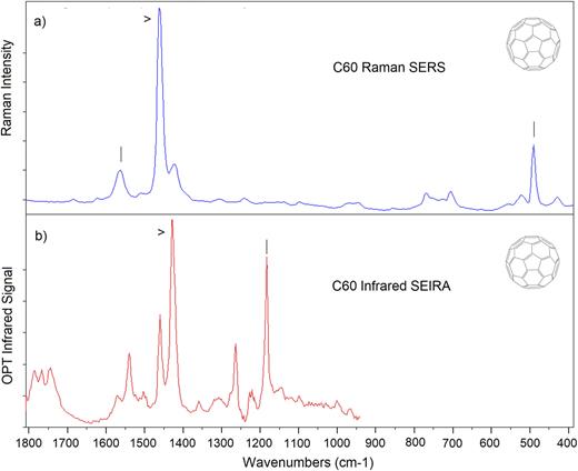 Concurrent surface enhanced infrared and Raman spectroscopy with single ...