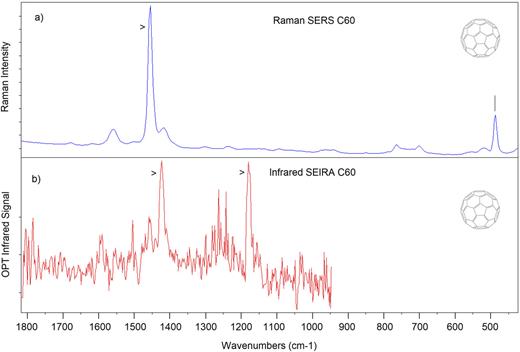 Concurrent surface enhanced infrared and Raman spectroscopy with single ...