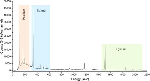 GermanIum array for non-destructive testing (GIANT) setup for muon ...