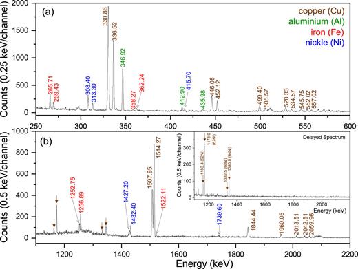 GermanIum array for non-destructive testing (GIANT) setup for muon ...