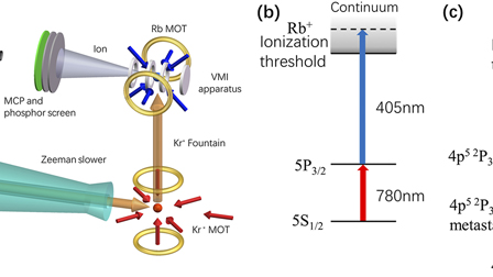 A Kr*–Rb cold collision apparatus based on atom trap | Review of ...