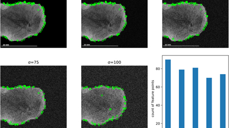 Application of optical flow algorithm for drift correction in electron microscopy images ...