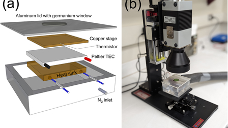 Micro-thermography for imaging ice crystal growth and nucleation inside ...