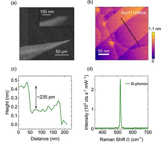 Polarized tip-enhanced Raman spectroscopy at liquid He temperature in ...