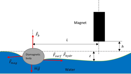 Measuring lateral capillary forces on floating particles using the ...