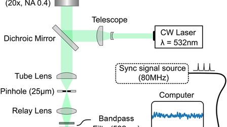 Toward time resolved dynamic light scattering microscopy: Retrieving ...