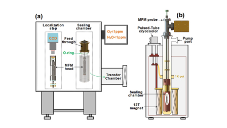 Glovebox-assisted magnetic force microscope for studying air-sensitive samples in a cryogen-free ...