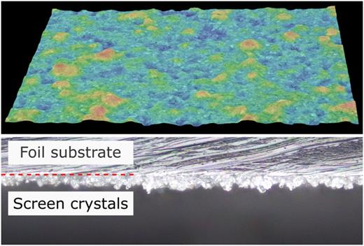 Cerium doped yttrium aluminum perovskite scintillator as an absolute ...
