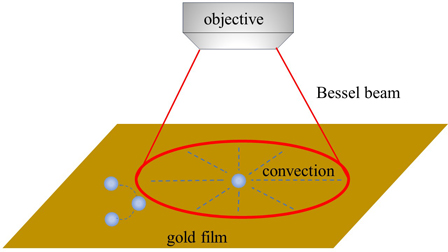 Optothermal trapping of microparticles near an absorbing reflective film with an annular beam ...