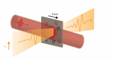 Optical-pump–terahertz-probe spectroscopy in high magnetic fields with ...