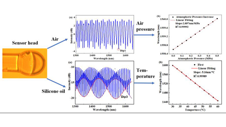 Hollow microsphere probes formed by hollow core optical fiber ...