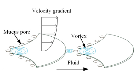 A bio-inspired two-stage bionic drag reduction method | Review of ...