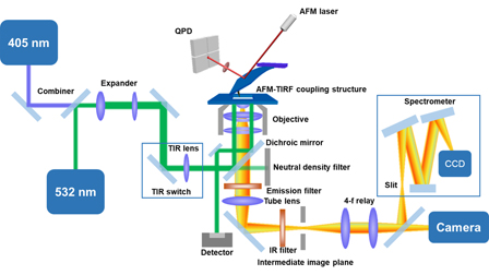 An atomic force microscopy and total internal reflection fluorescence ...