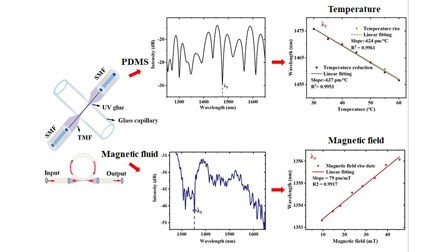 Whispering-gallery mode sensor based on coupling of tapered two-mode ...
