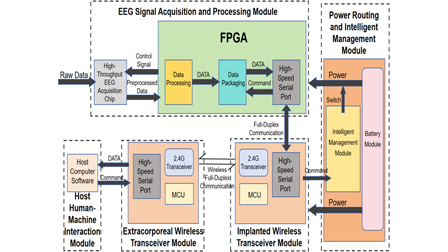 Revolutionizing brain–computer interfaces: Compact and high-speed ...