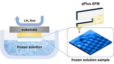 An apparatus for preparing frozen solution samples in ultrahigh vacuum ...