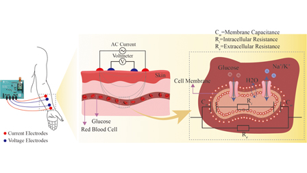 Sparse group LASSO and nonlinear machine learning for frequency-feature optimization in ...