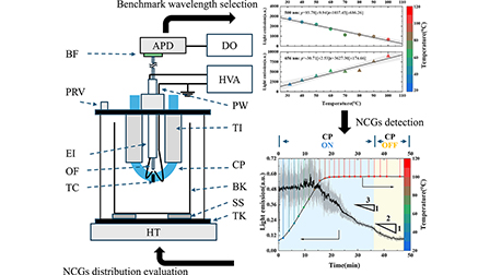Real-time detection of non-condensable gas in water vapor systems based ...