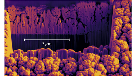 Platinum black for stray-light mitigation on high-aspect-ratio ...