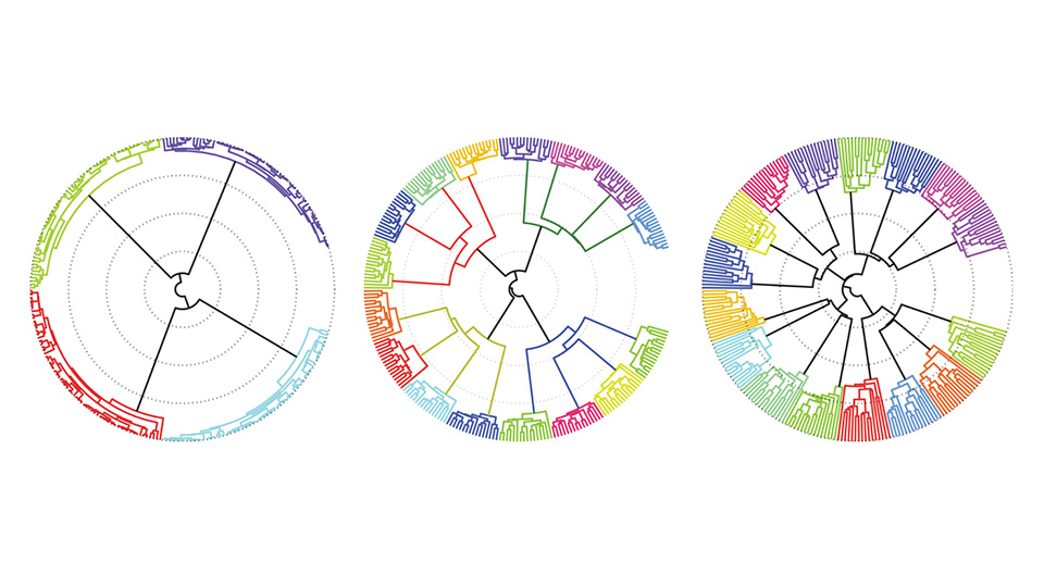 New classification method identifies communities faster in complex ...