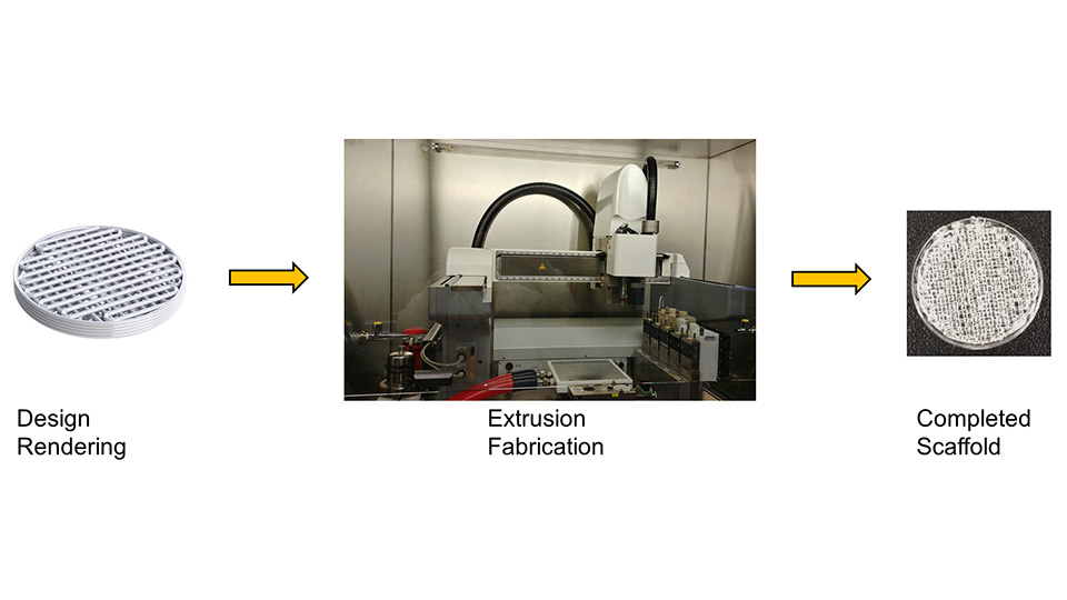Biomedical applications of 3D printing technologies | Scilight | AIP ...