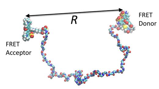 Protein distance and dynamics characteristics inferred from single ...