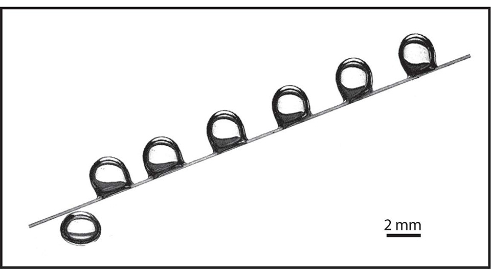 Underwater spiders inspire bubble study that could help industry trap ...