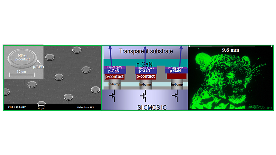 MicroLEDs have a bright future in displays and medicine | Scilight ...