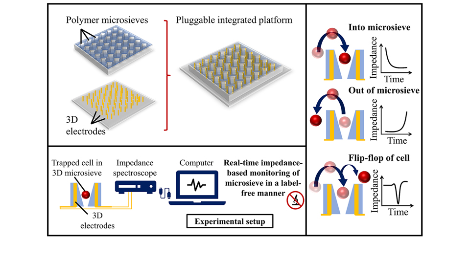 Single neuron detectors using 3D electrode micro-arrays | Scilight ...
