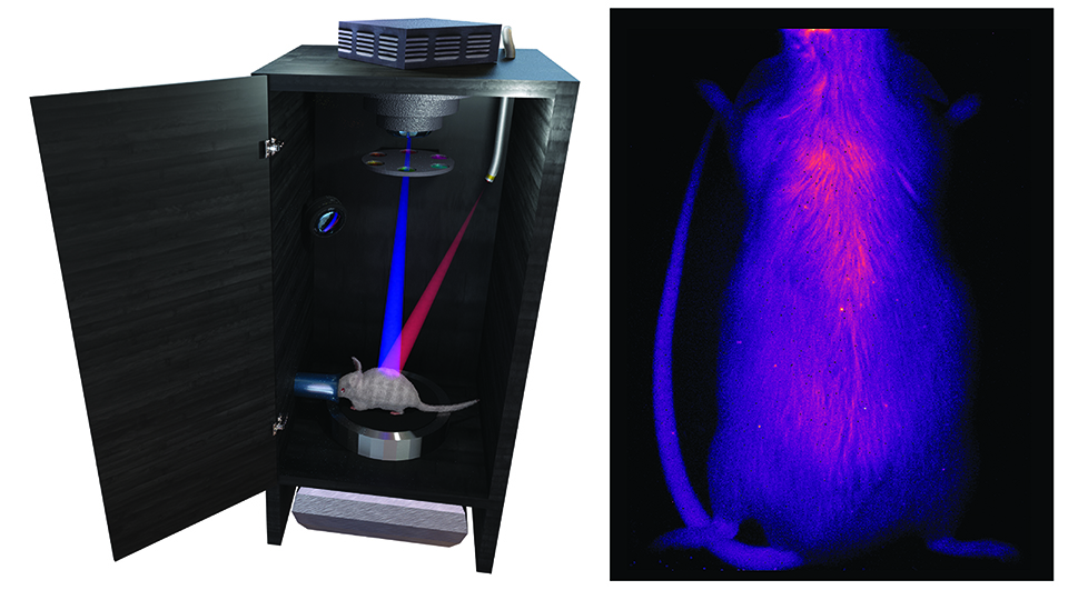 Optical bioimaging revival may be possible by understanding ...