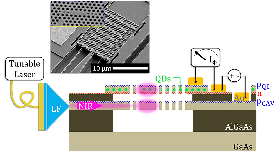 Microscale integrated sensor points to cheaper high-throughput ...