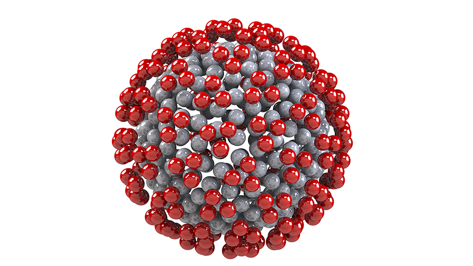 Coronavirus diffusion is aided by the shape of its spikes | Scilight ...