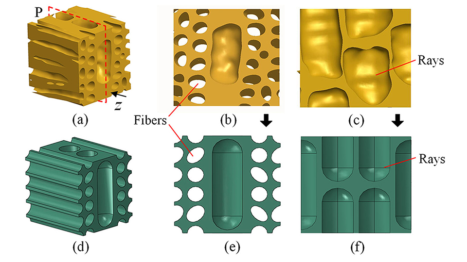 The physics of snapping a twig | Scilight | AIP Publishing