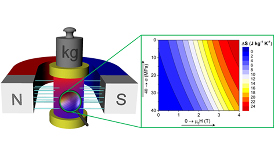 Thermodynamic characterization shows multicaloric effects make for ...