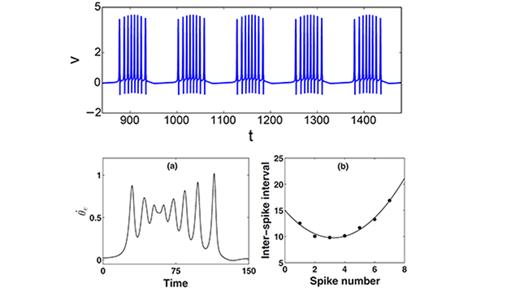 Understanding the origin of similar spiking and bursting patterns in ...