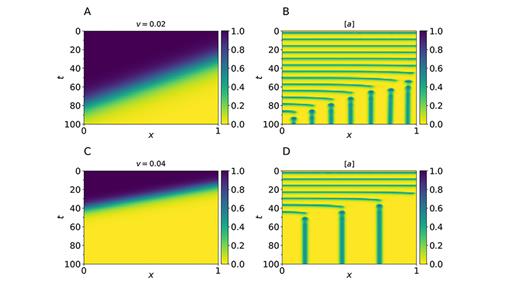 Hybrid model combines genetic clocks and signaling proteins to explain ...