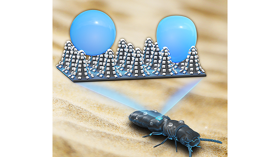 Springtail-inspired structures enhance liquid repellency in materials ...