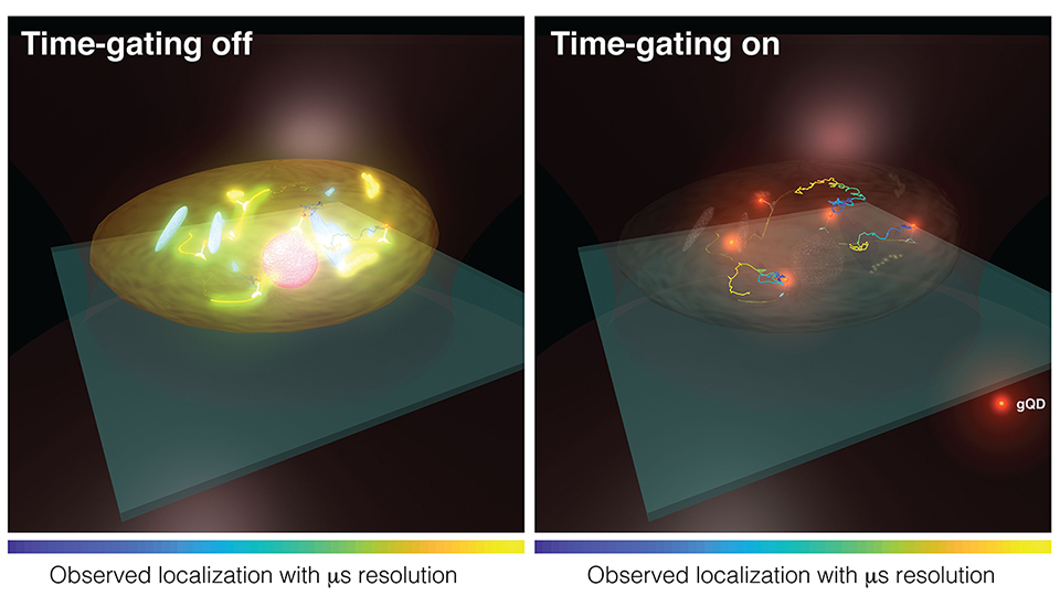 Microscope design promises breakthrough in 3D single-particle tracking ...