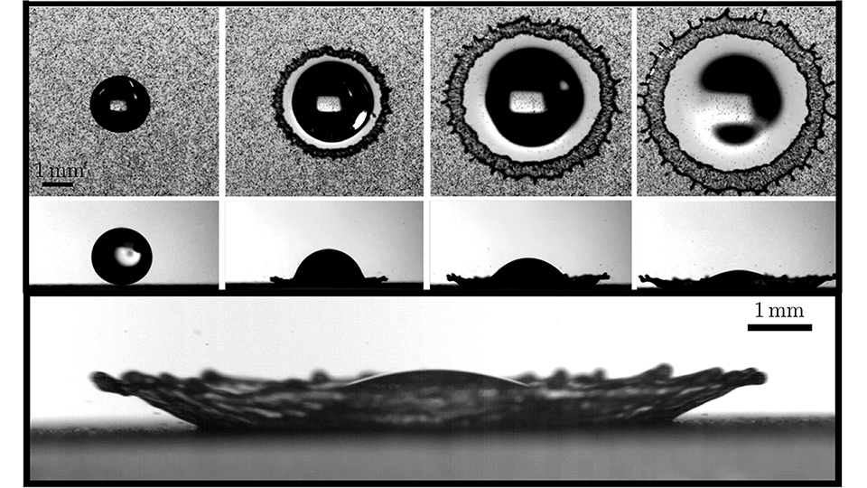 Droplet impacts on granular monolayers transition from horizontal ...