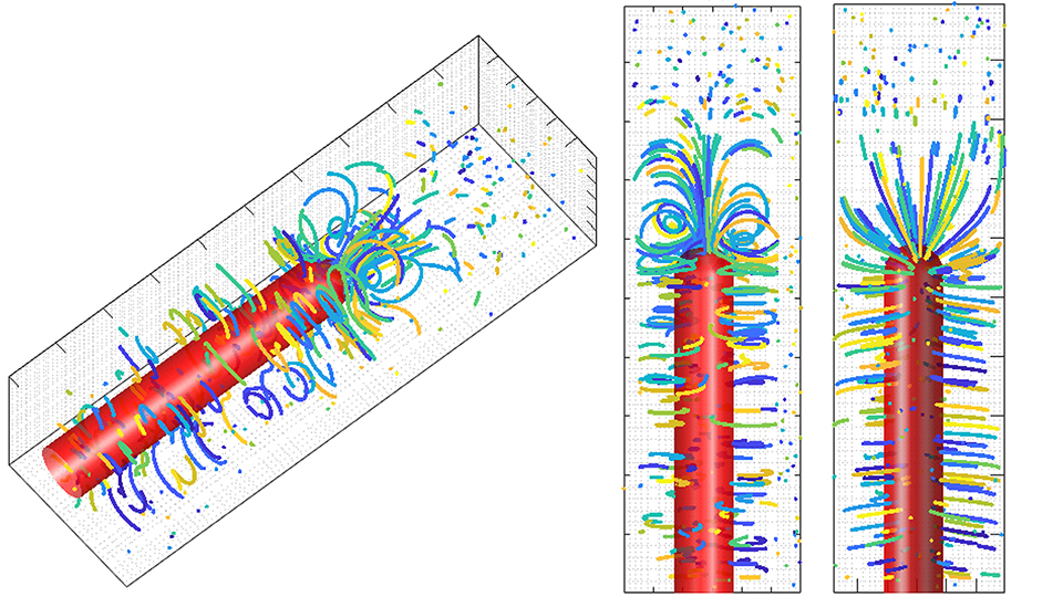 Microscopic fingers trigger flow in small intestine | Scilight | AIP ...