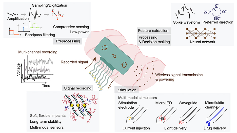 Not just mind reading: improving the stability and scalability of brain ...