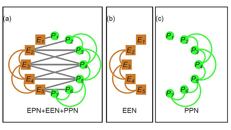 Dynamical approach to network theory yields new clues to social trends ...