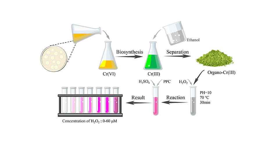 Products from reducing chromium carcinogen trace hydrogen peroxide ...