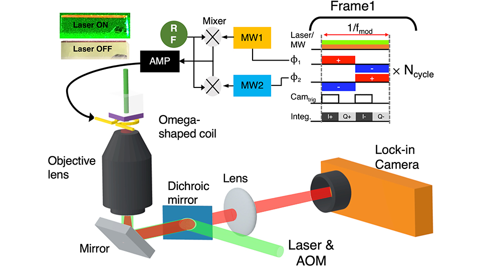 Quantum diamond magnetometer approach paves way for imaging neurons ...