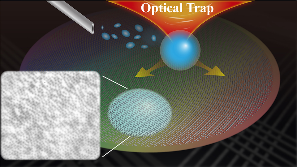Super-resolution imaging based on cleanable, controllable, and convenient microdroplet ...