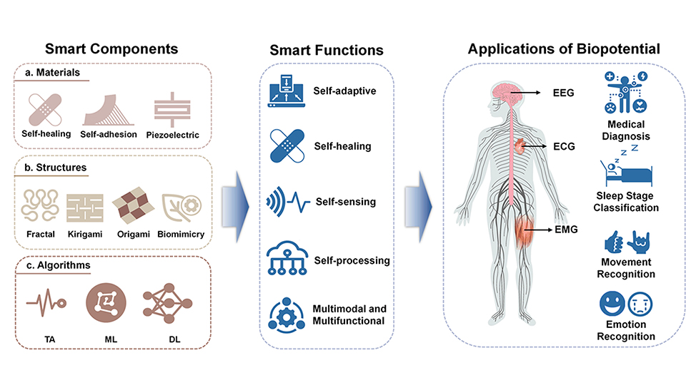 Advances point to promise for epidermal electrophysiological signal ...