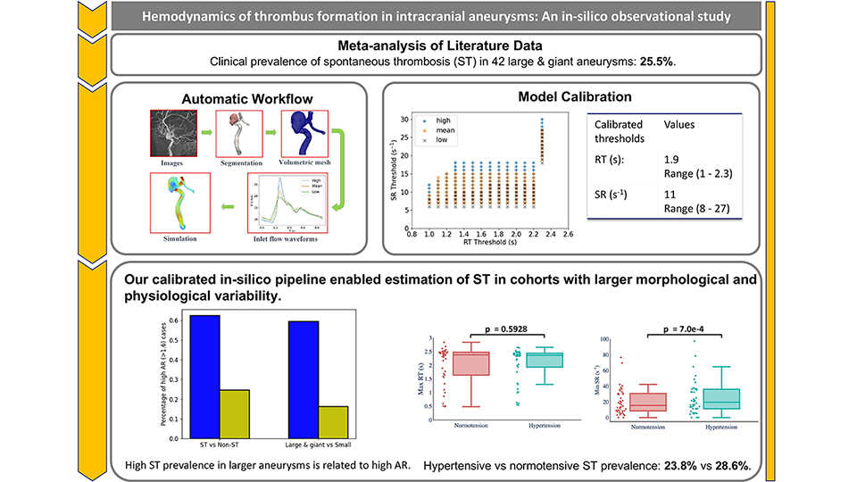 Understanding the formation of spontaneous thrombosis inside aneurysms ...