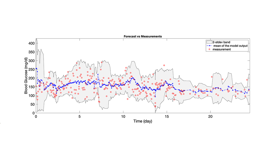 Mathematical model could help ICU doctors regulate blood glucose ...