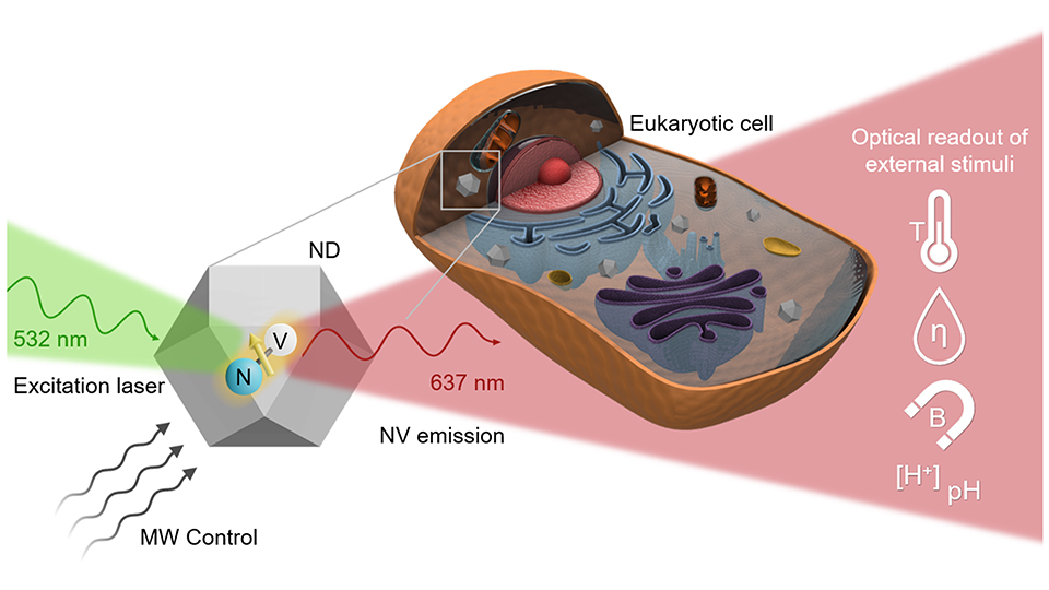 Nanodiamond in the rough | Scilight | AIP Publishing
